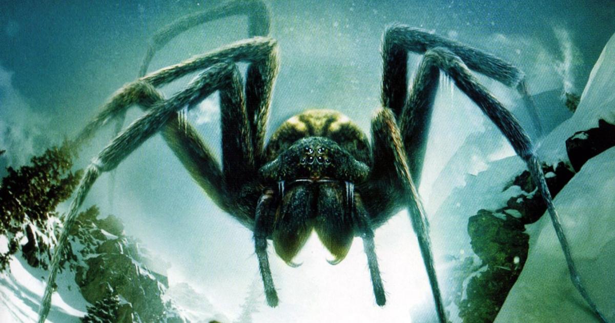 Ice Spiders | Veronica Superguide