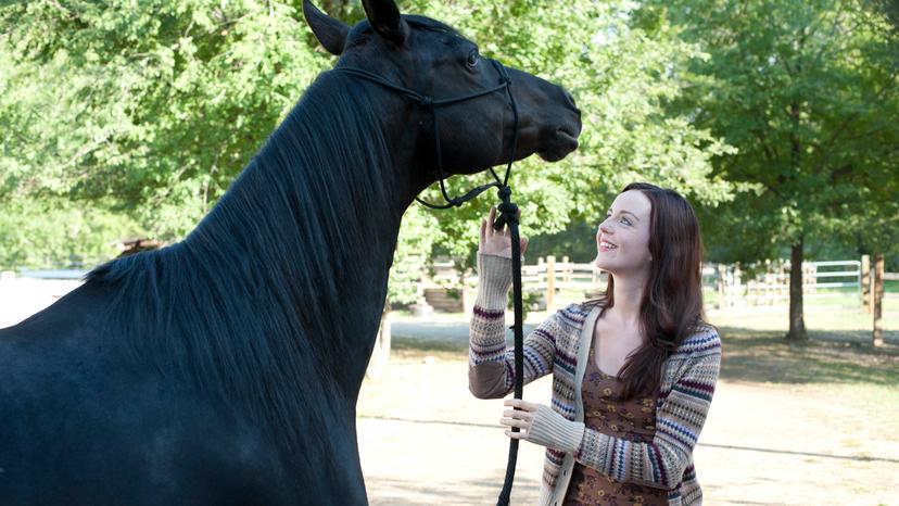 Flicka 3: Best Friends | Veronica Superguide