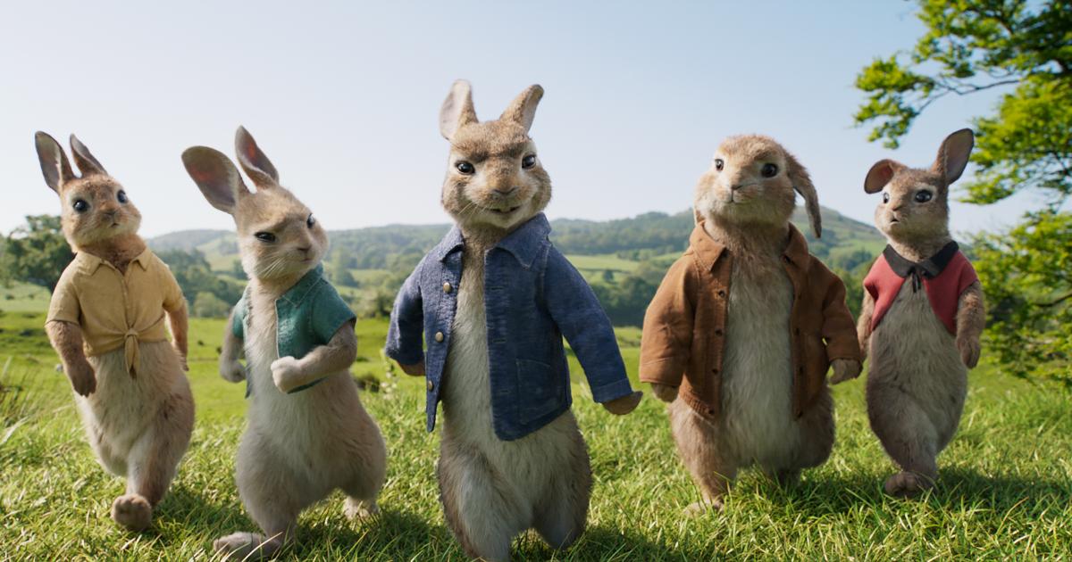 Peter Rabbit | Veronica Superguide