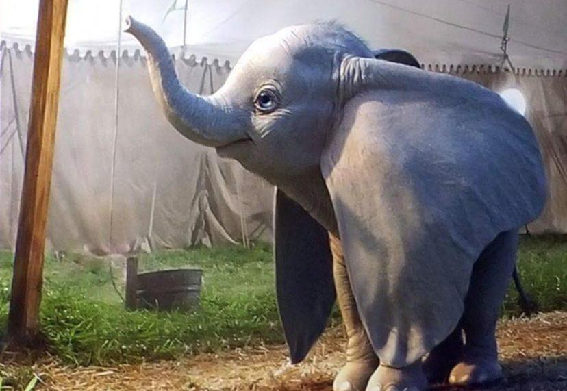 Disney onthult eerste beelden Dumbo en teaset Aladdin op CinemaCon ...