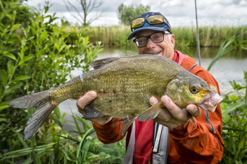 Presentator Ed Stoop stopt na 20 jaar bij Vis TV | Veronica Superguide