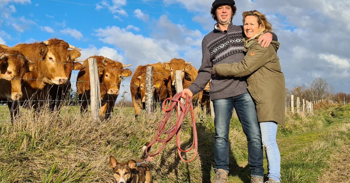 Kijkers vol ongeloof door Ik Vertrek | Veronica Superguide Kijkers vol ongeloof door Ik Vertrek | Veronica Superguide