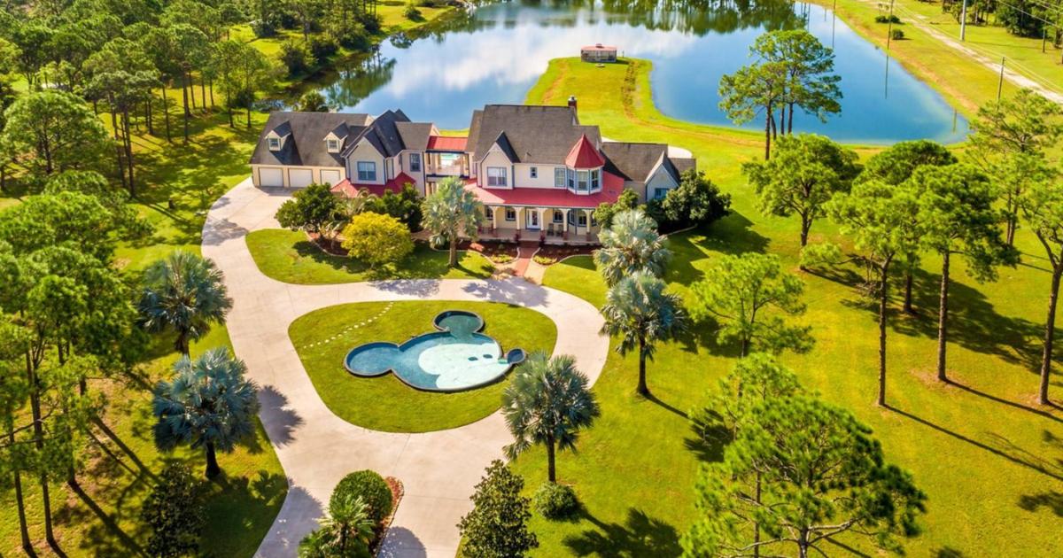 Te koop: Disney-droomhuis met Mickey Mouse-zwembad | Veronica Superguide