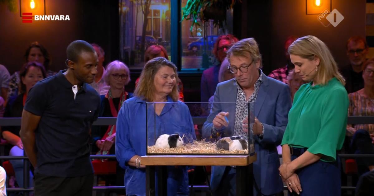 Kijkers kritisch over Spaanders: ‘Kan niet meer’ | Veronica Superguide