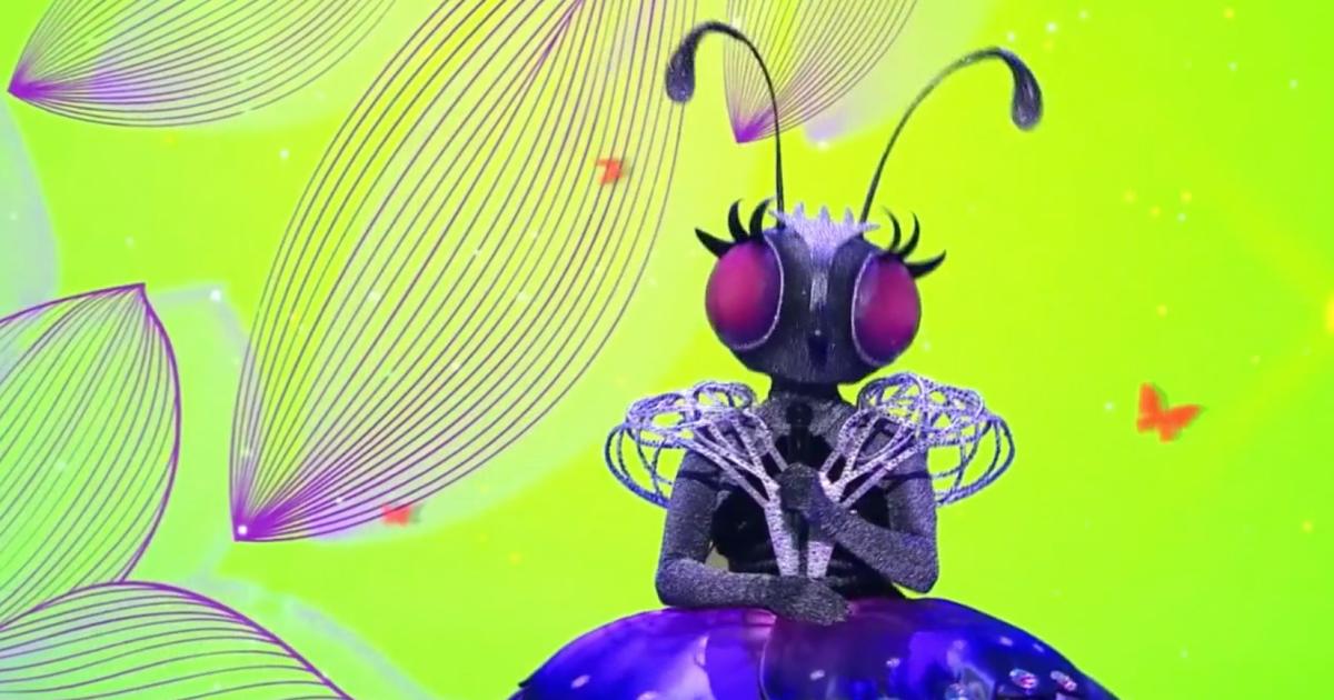 The Masked Singer: Dit waren de Vlinder en de Kameleon | Veronica ...