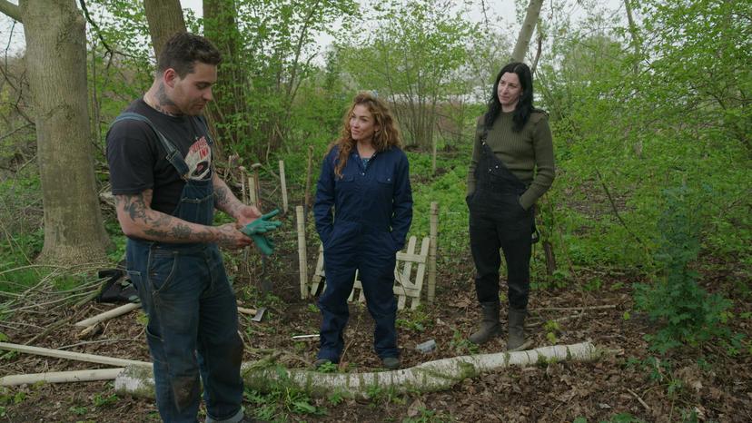 ‘Boerderij van Dorst-Raven en Douwe Bob hadden bijna ruzie' | Veronica ... ‘Boerderij van Dorst-Raven en Douwe Bob hadden bijna ruzie' | Veronica ...