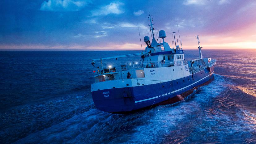 Ice Cold Catch | Veronica Superguide