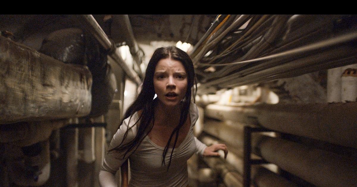 Split | Veronica Superguide