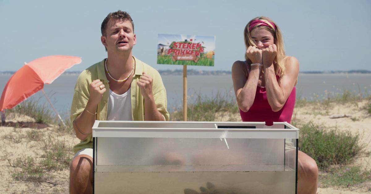 Steken en Prikken: Op Vakantie | Veronica Superguide