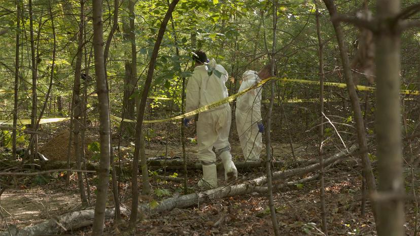 Vanavond op tv: Monsters in the Shadows, Spoorloos en The Great Gatsby ...