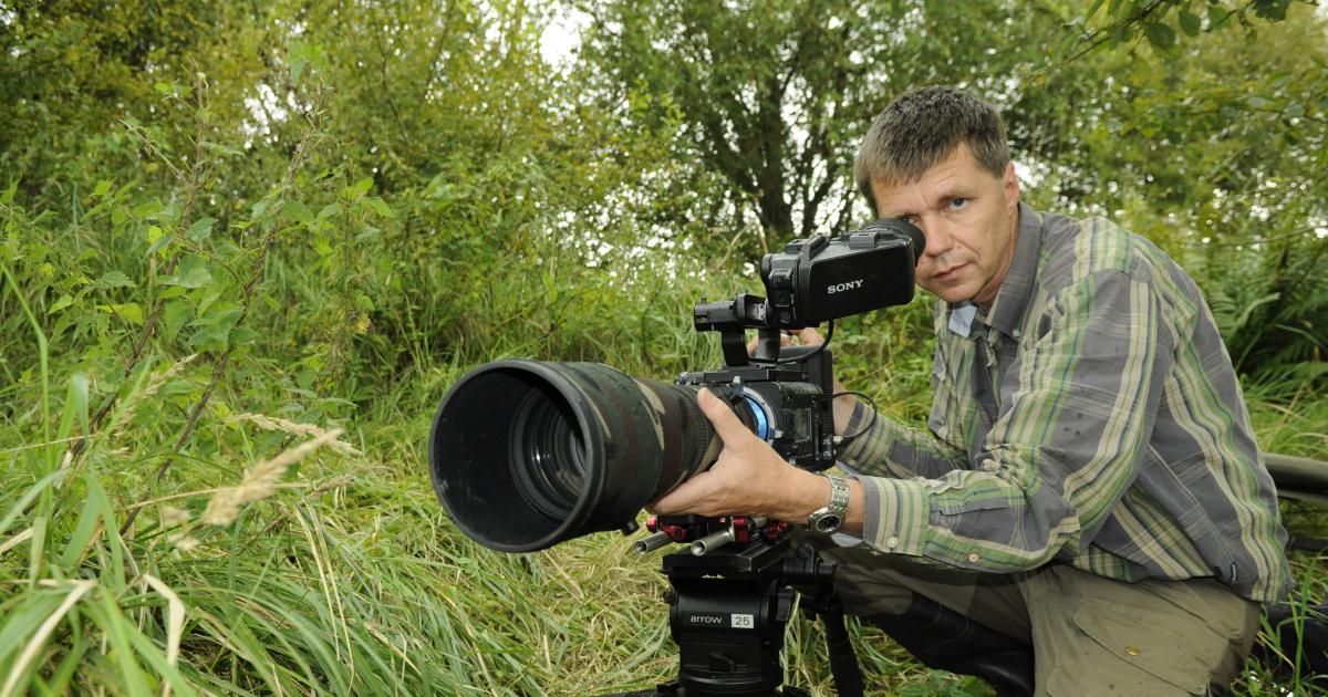 Wolf | Veronica Superguide