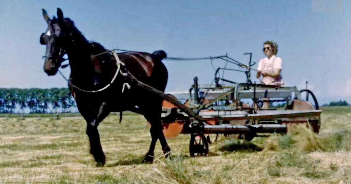 Vanavond op tv: Nederland op Film, De Avondetappe en Bon Bini Holland | Veronica Superguide