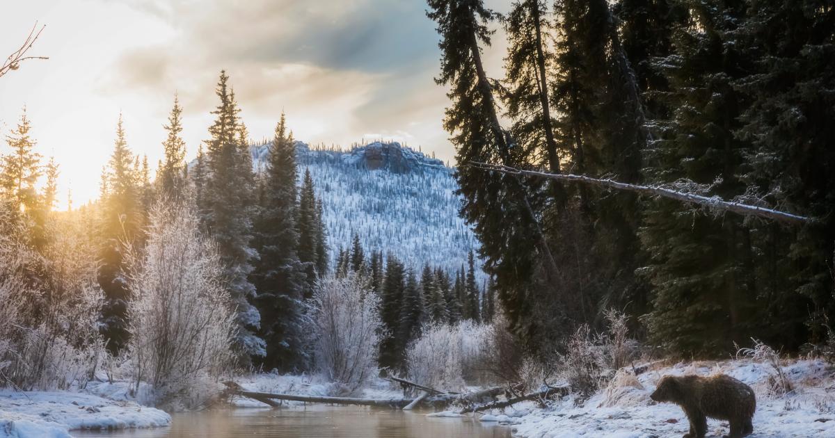 De Grootste Rivieren van de Wereld | Veronica Superguide