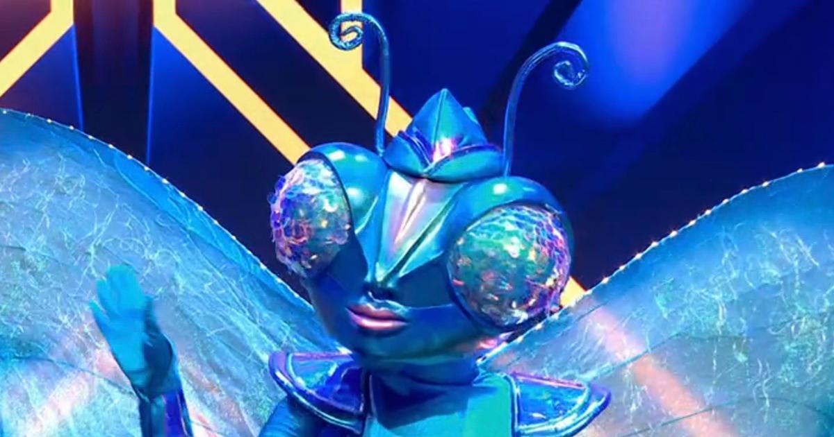 Zó bereidde deze BN’er zich voor op The Masked Singer | Veronica Superguide