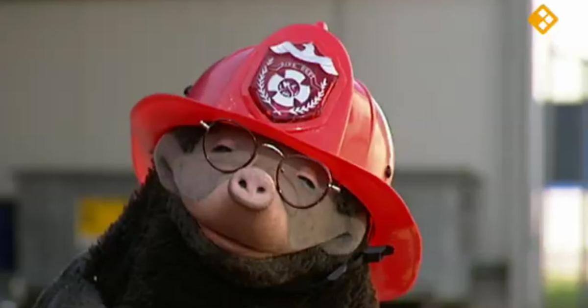 Wat is er gebeurd met de stemacteurs achter Moffel en Piertje ...