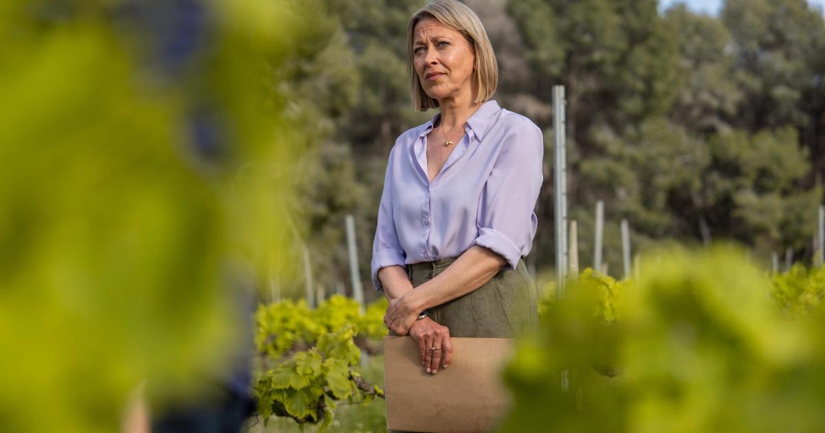 The Split: Barcelona | Veronica Superguide