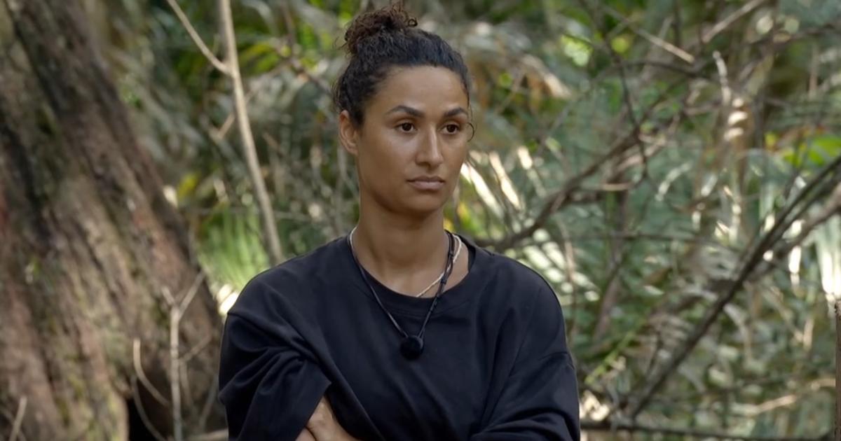 Expeditie Robinson-Timor Steffens kan zich verplaatsen in Amijé ...